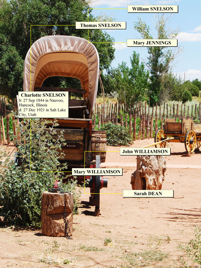 Charlotte Snelson Ancestors